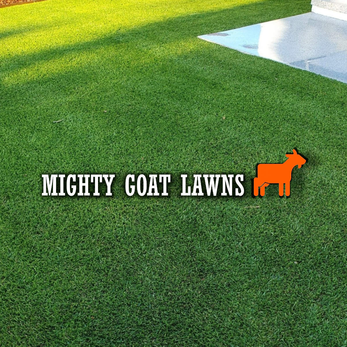 The Best Weed Killers for Australian Lawns (2026 Guide) – Mighty Goat Lawns