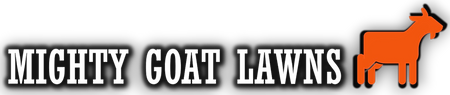 The Best Weed Killers for Australian Lawns (2026 Guide) – Mighty Goat Lawns